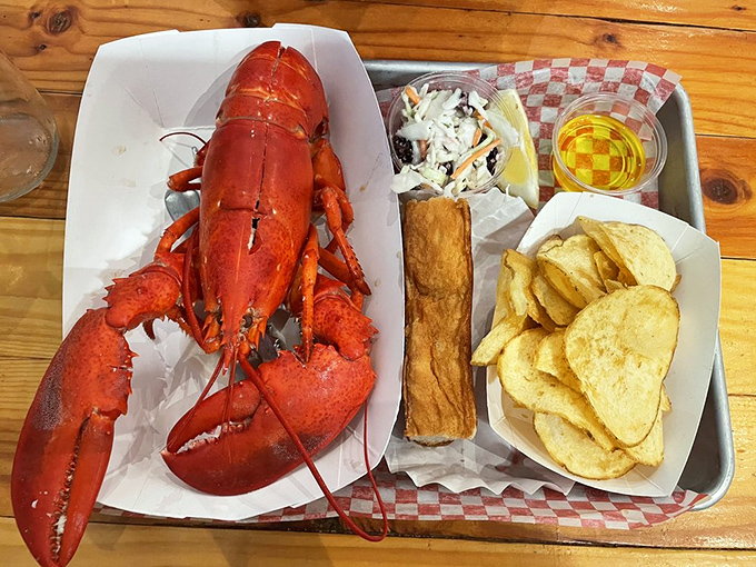 The lobster roll of your dreams has arrived! Flanked by golden chips, it's the Brad Pitt of seafood sandwiches &ndash; irresistibly handsome and satisfying.