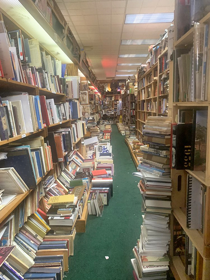 Dante missed a circle: the endless loop of "just one more book." This aisle is where New Year's resolutions go to die.