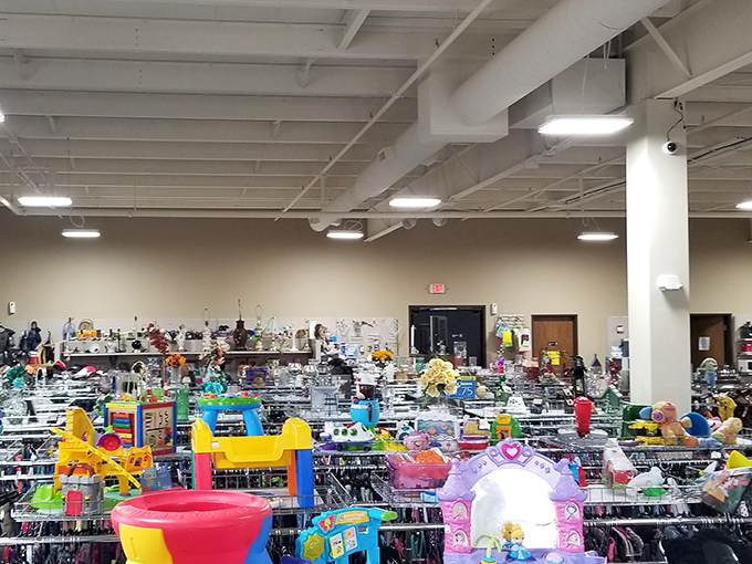 Toy Story come to life! These shelves are where childhood dreams and adult collectibles mingle in perfect harmony.