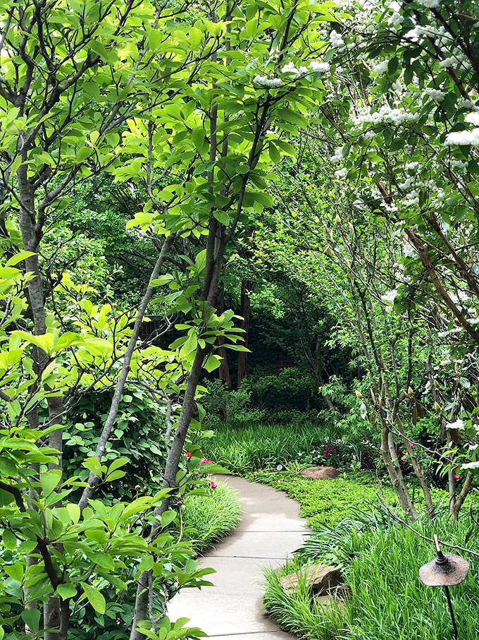 "Nature's Secret Passage" This hidden trail looks like the perfect spot for a midday escape or a romantic rendezvous. Just watch out for sneaky squirrels!