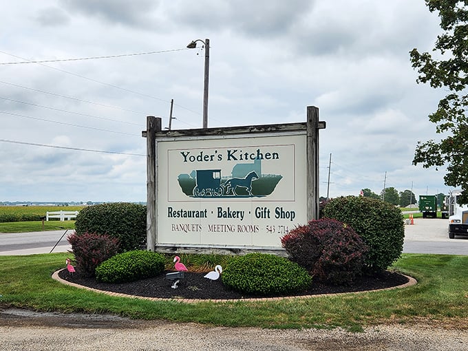 Yoder's Kitchen: Where calories don't count and elastic waistbands are your best friend. Prepare for a comfort food coma of epic proportions!