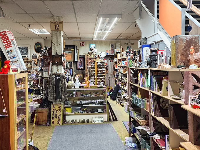Marie Kondo's nightmare or a collector's dream? These meticulously arranged shelves are a testament to the beauty of organized chaos.