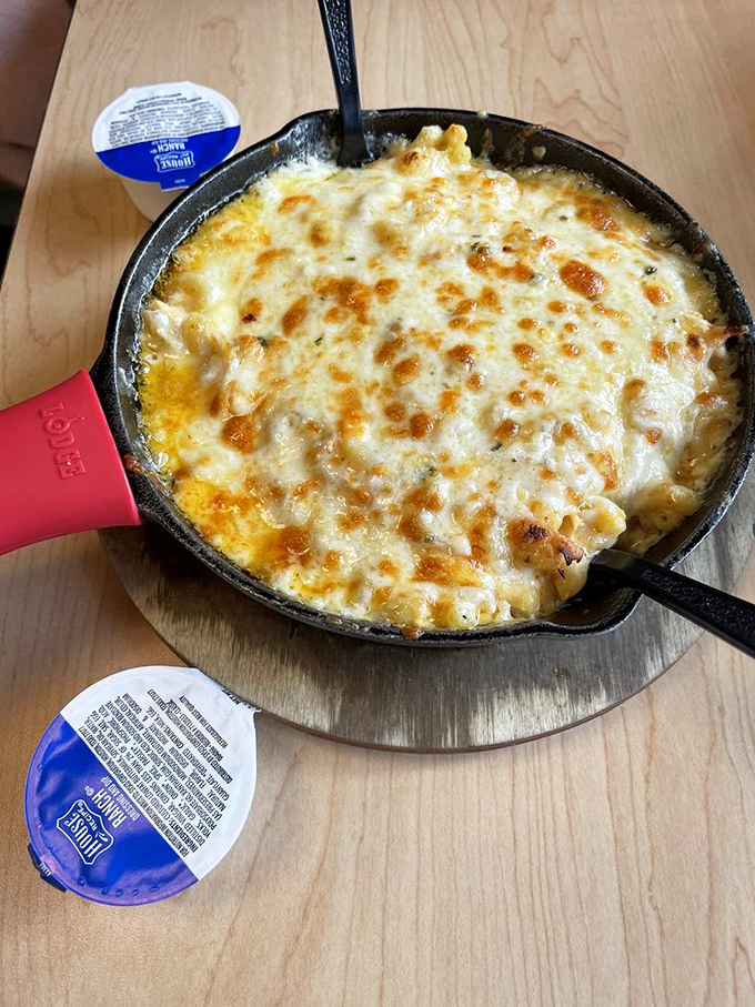 Buffalo chicken mac that bites back! It's like your favorite sports bar appetizer decided to get cozy with some pasta.