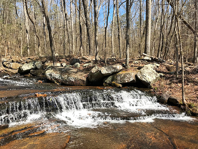 Collins Creek's gentle cascades prove that not all natural water features need to roar to make an impression&mdash;sometimes a whisper is more compelling.