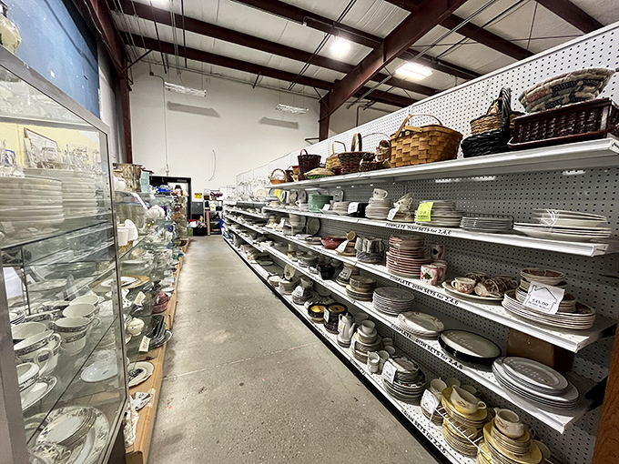 Dish-cover your next favorite! From kitschy mugs to elegant china, this aisle is a feast for the eyes and a buffet for the imagination.