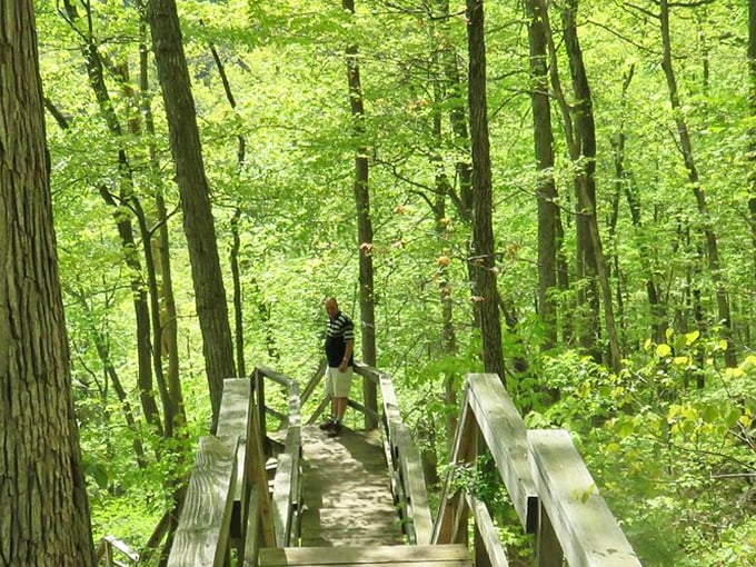 Nature's stairmaster awaits! These wooden steps promise a workout with a view. Just remember, the scenery is worth every huff and puff.