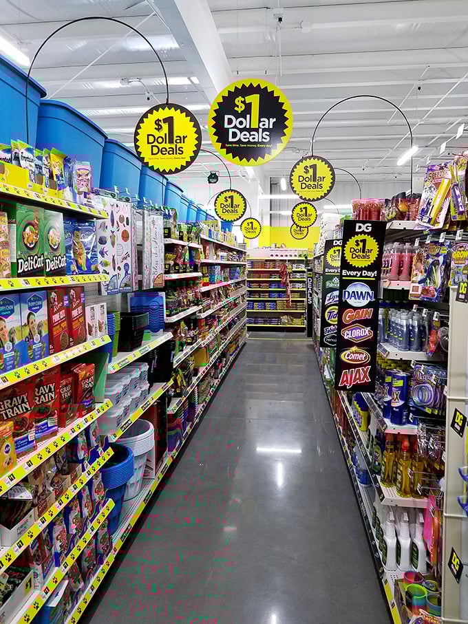 Home essentials at prices that'll make you want to redecorate daily! It's like a home improvement show, but with a much friendlier budget.