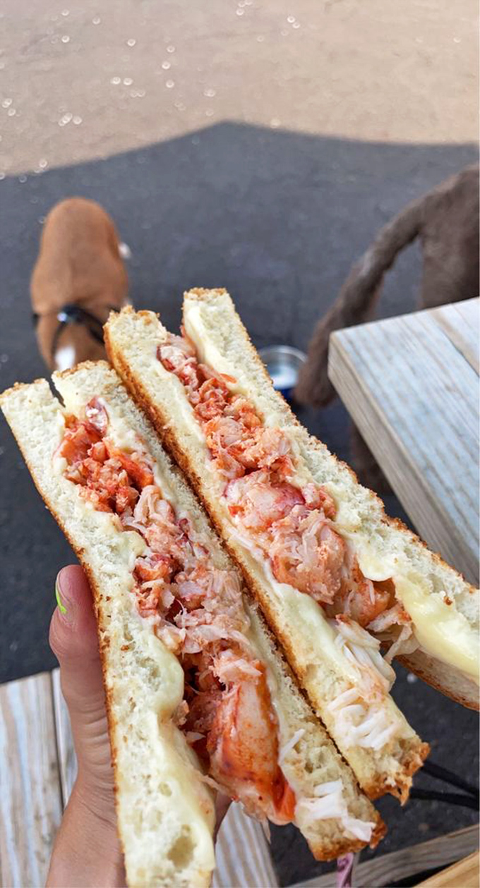 The grilled cheese of your dreams has arrived, and it's wearing a tuxedo of lobster. Childhood favorite, meet your sophisticated cousin!