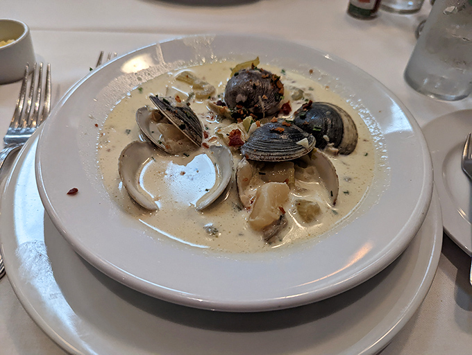 The chowder so hearty, it could arm wrestle a lobster and win. These plump clams are living their best afterlife in a sea of creamy bliss.
