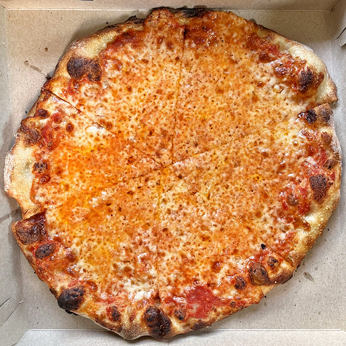 Simplicity at its finest! This classic mozzarella pizza proves that sometimes, less really is more - and utterly delicious.