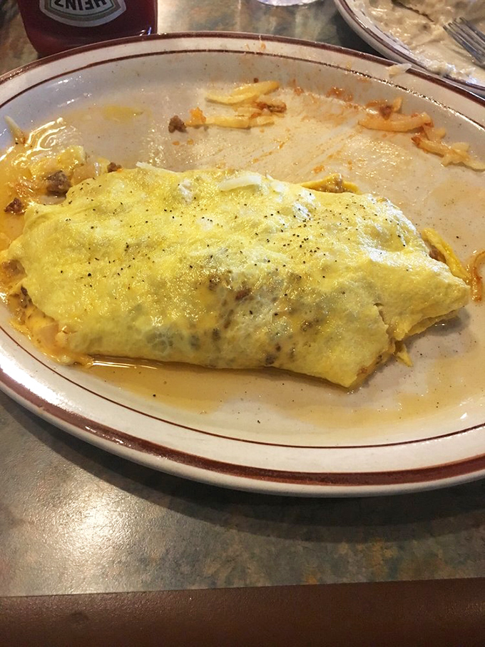 Behold, the omelet in its natural habitat! Golden, fluffy, and ready to make your morning dreams come true.