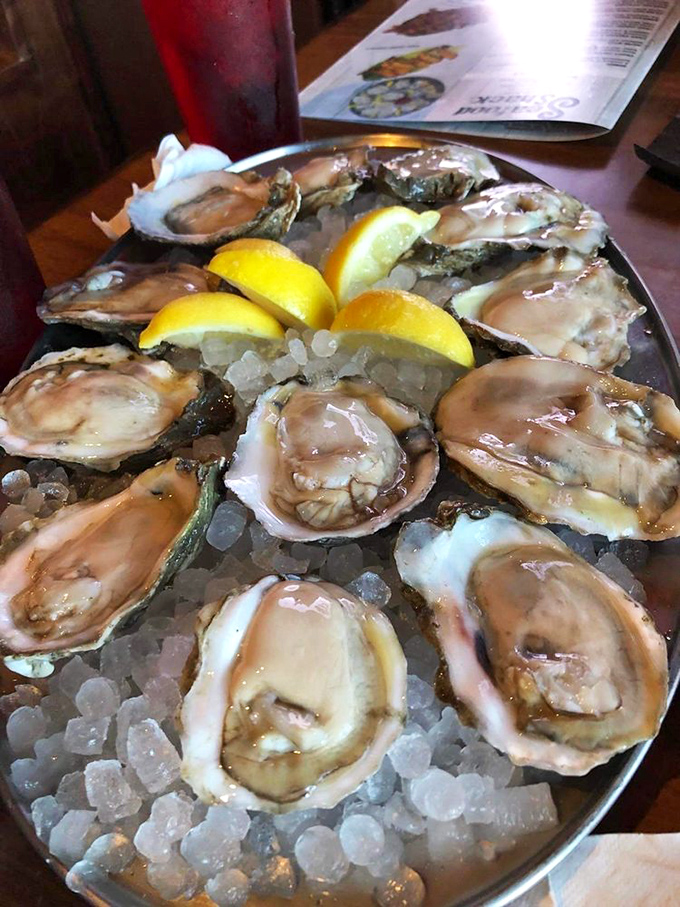 Oysters on the half shell: nature's perfect appetizer. These briny beauties are just begging to be slurped with a squeeze of lemon.
