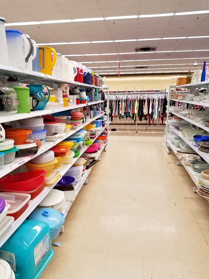 Rainbow bright and ready for a feast! This aisle is like a Tetris game of tupperware, perfect for storing your leftovers or starting a container collection.