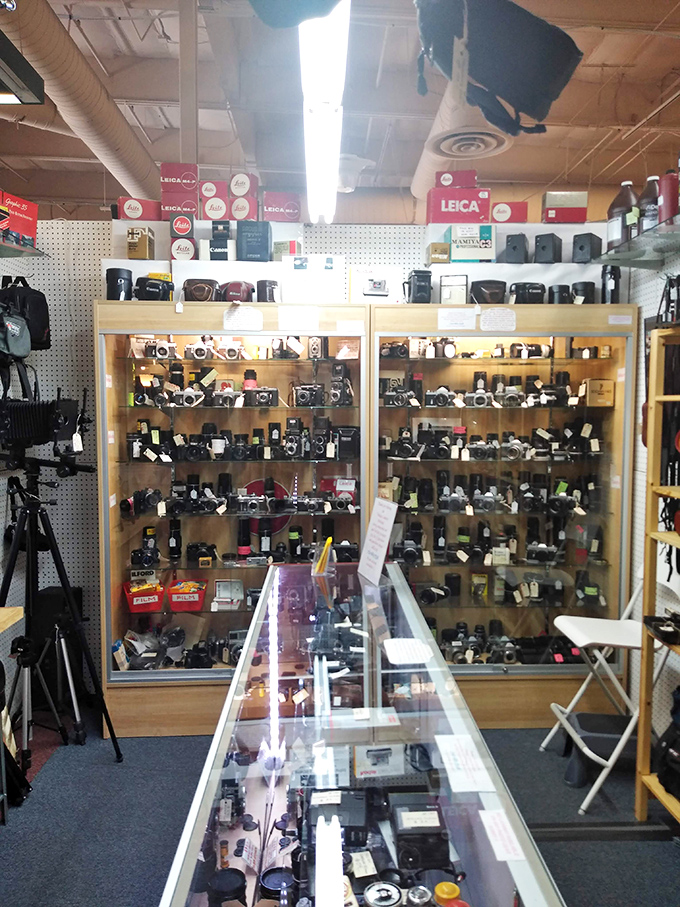 Say cheese to a slice of photographic history! This Leica display is a snapshot of camera evolution.