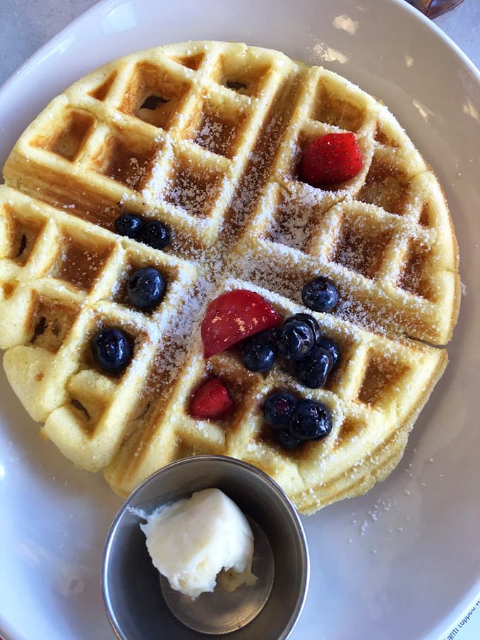 Waffle perfection achieved! This golden grid of deliciousness is like a treasure map where X marks every single scrumptious spot. Syrup expedition, anyone?
