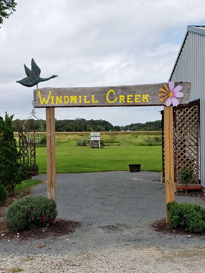 Windmill Creek's rustic entrance promises wine with a view. The flying duck silhouette seems to say, "Follow me to relaxation!"