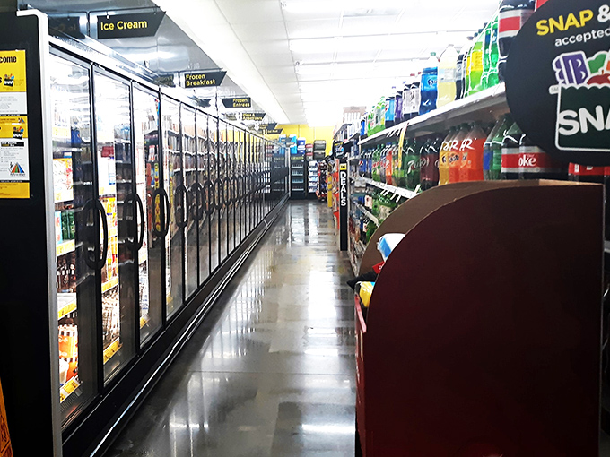 Ice cream dreams and frozen fantasies! This aisle is where Jack Frost meets your taste buds in a frosty dance of deliciousness.