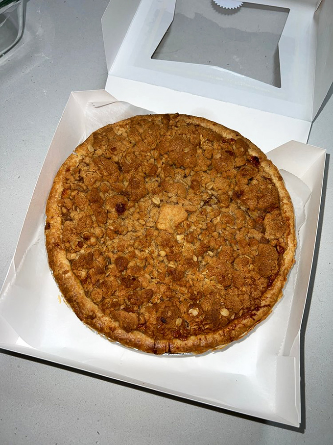 Crumb-believable! This apple crumb pie is the superhero of desserts, with its golden crust and generous topping ready to save any bad day.