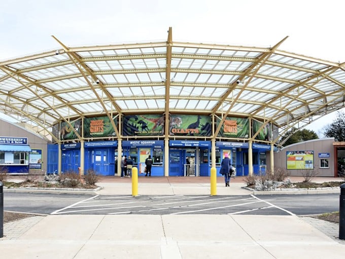 Dive into an underwater wonderland without getting your feet wet. Just watch out for the 'Finding Nemo' fan club meetings!