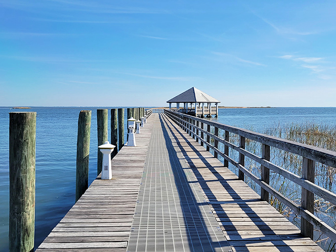 Battery Park's pier stretches out like nature's red carpet, inviting you to take a stroll and maybe snap a selfie with a pelican or two.