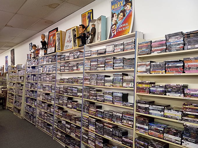 DVD heaven or time machine? This aisle is packed with enough nostalgia to make you dust off that old DVD player.