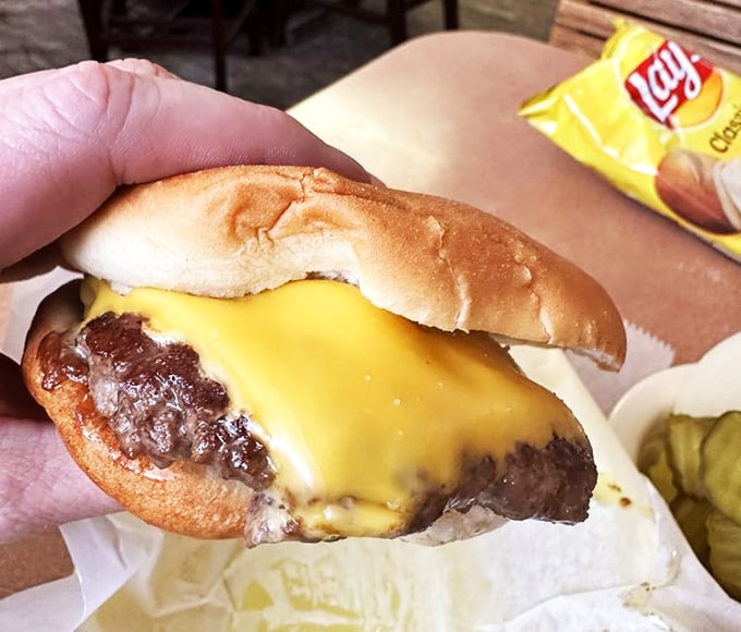 Behold, the Mona Lisa of burgers! This cheeseburger's perfect proportions would make Leonardo da Vinci weep with joy (and hunger).