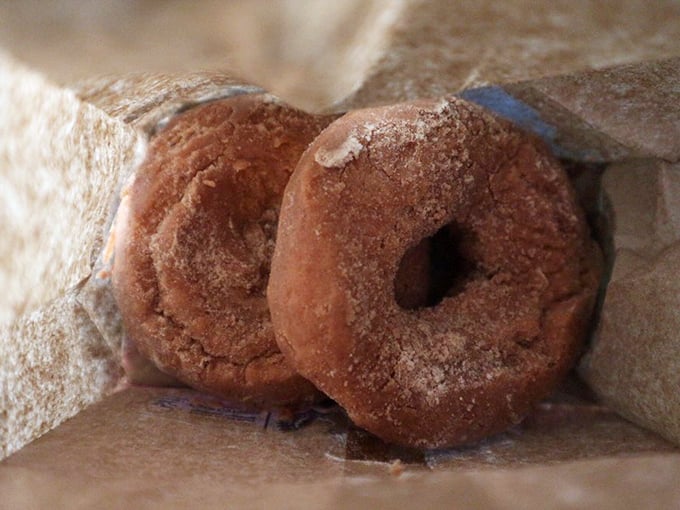 These cinnamon-sugar donuts are like edible teddy bears &ndash; comforting, sweet, and impossible to be mad at. Grandma's hug in pastry form!