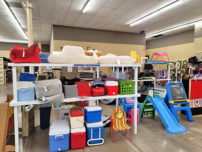 Coolers and camping gear galore! Whether you're planning a picnic or prepping for the apocalypse, Savers has you covered. Just add snacks and a sense of adventure.