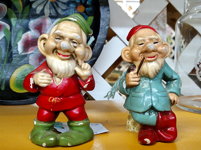 These garden gnomes have seen things, my friends. They're not just lawn ornaments; they're tiny, ceramic philosophers pondering life's great mysteries.