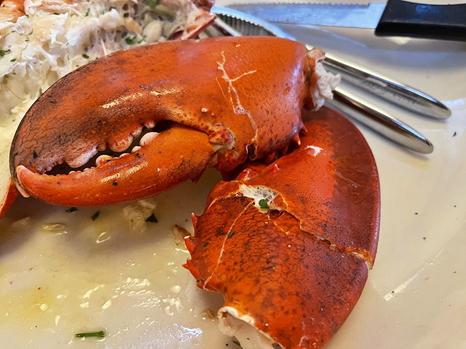 These lobster claws aren't just delicious; they're a work of art. It's like the Michelangelo of the kitchen decided to sculpt with seafood.