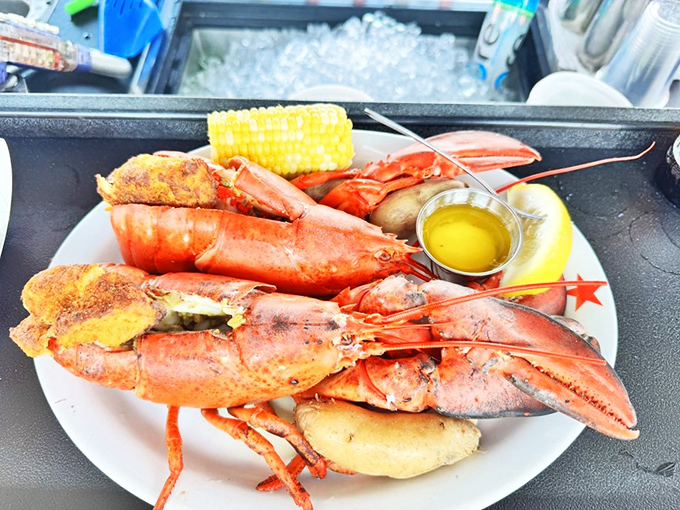 Holy crustaceans, Batman! These lobsters are so fresh, they're practically doing the backstroke. Butter at the ready!