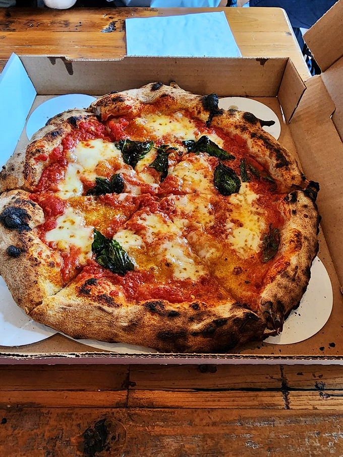 Margherita pizza so fresh, you'll swear you're in Naples. Basil leaves dance atop a canvas of melted mozzarella and tangy tomato sauce &ndash; simplicity at its most delicious.