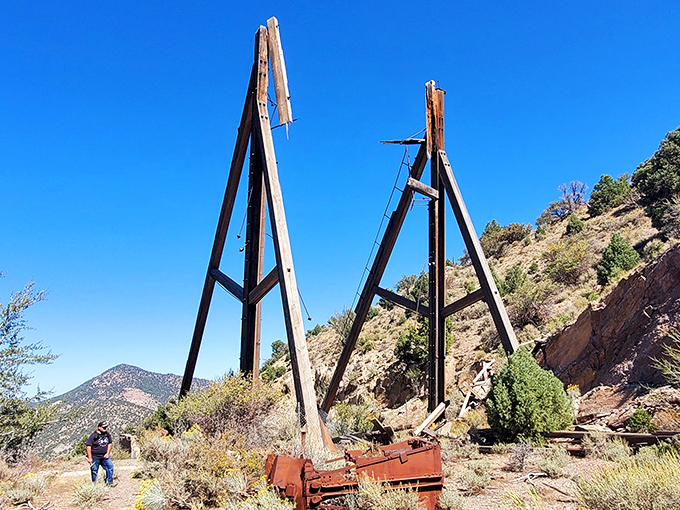 These towering wooden structures aren't failed Jenga attempts - they're relics of Eureka's mining heyday. Talk about some serious industrial chic!