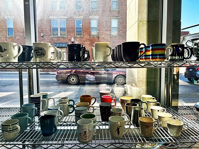 The mug collection that asks, "Why drink from boring cups when these character-filled vessels exist?" Each one waiting for its coffee-filled second act.