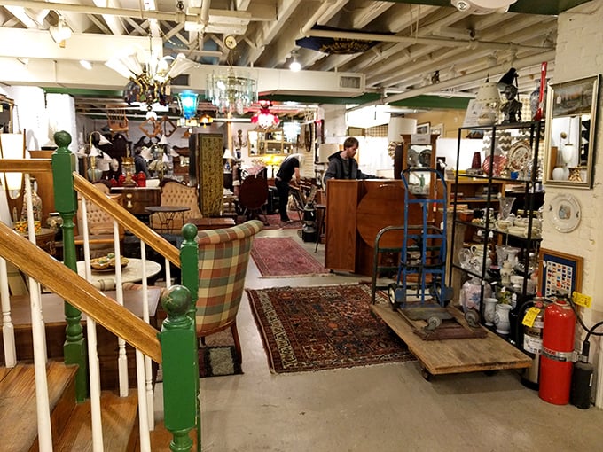 "Treasure hunters in their natural habitat. Watch as they navigate the jungle of jumble with expert precision."