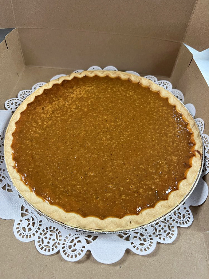 Golden and glorious! This pie's perfectly crimped edges are like a hug for your taste buds, promising comfort in every forkful.