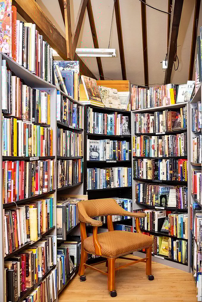 Found your next great read? Settle into this cozy nook and let the world fade away. It's like a warm hug for your brain.