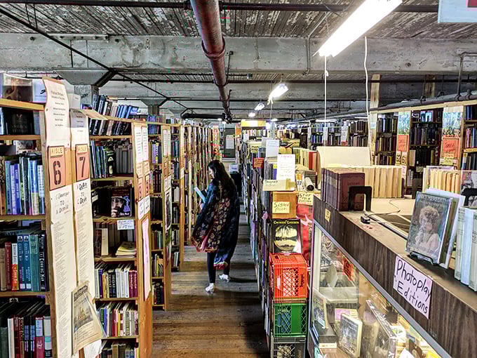 Treasure hunters at work! Watch as book lovers navigate these aisles like Indiana Jones in search of the Holy Grail of literature.