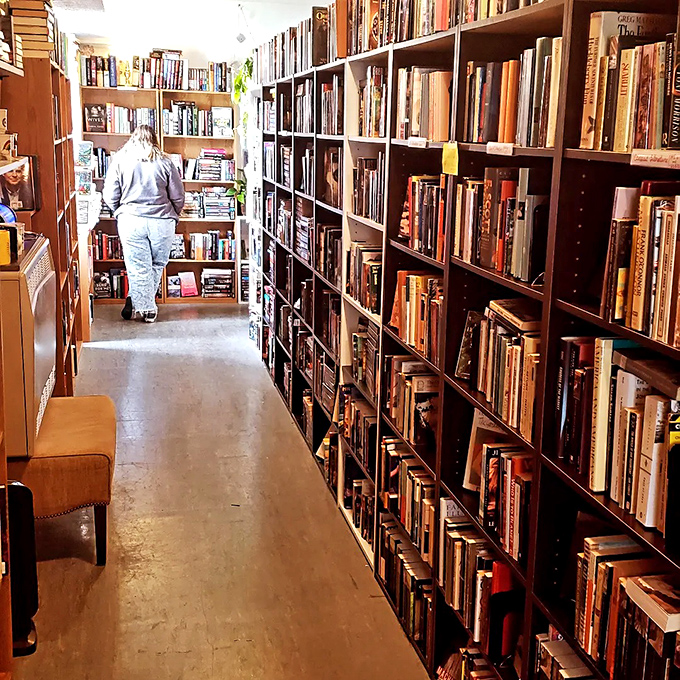 Lost in the stacks? You're not alone. This literary explorer is on a quest for their next great read.
