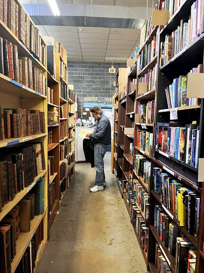 Lost in the stacks? You're not alone! This literary explorer is on a quest for his next great read. Adventure awaits around every corner.