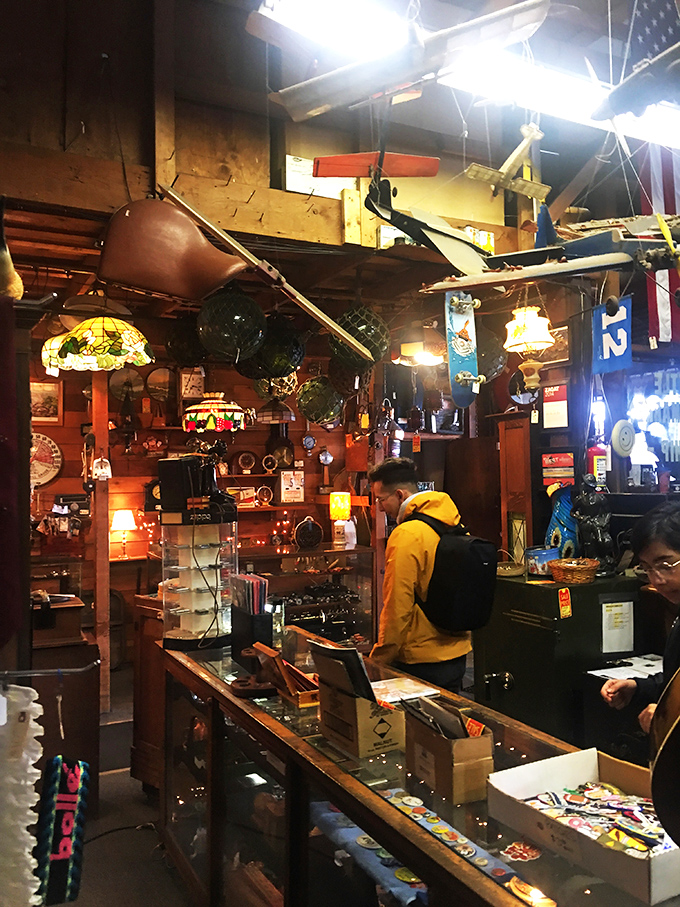 Treasure hunters in their natural habitat. Watch as they navigate the labyrinth of yesteryear, each on a quest for their own Holy Grail of nostalgia.