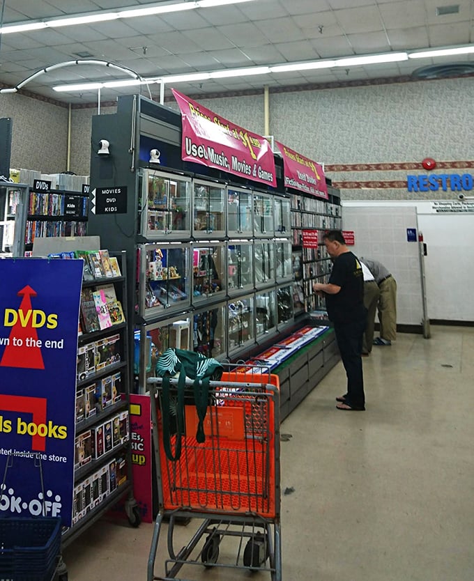 Watch as bibliophiles in their natural habitat navigate the literary labyrinth. It's like "Night at the Museum," but with more page-turning.