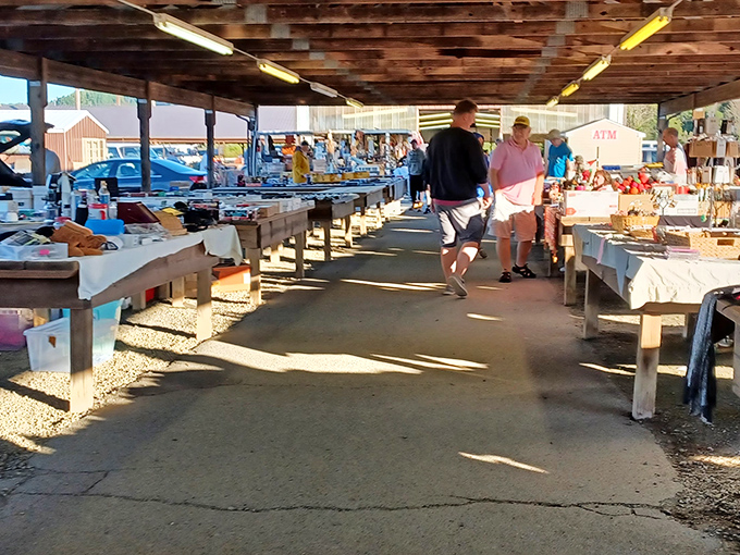 Step right up to the bargain buffet! This covered walkway is like an all-you-can-buy smorgasbord of curiosities and collectibles.