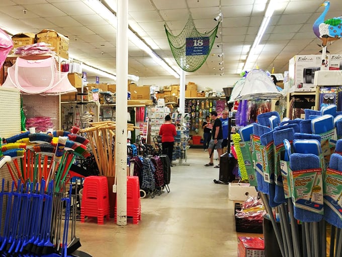 Bargain hunters in their natural habitat! Watch as they navigate the aisles with the skill and determination of seasoned explorers.