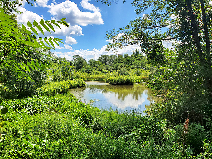 Mother Nature's spa day! This serene wetland oasis is where the local wildlife goes to get away from it all. No reservation required.
