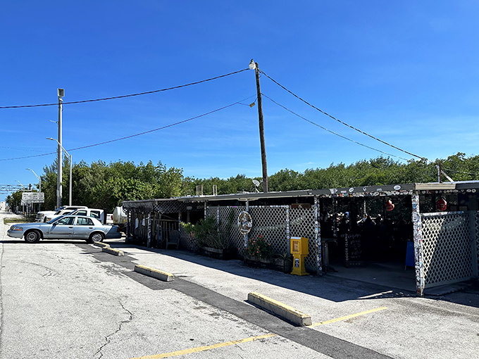 Alabama Jack's: The Brigadoon of seafood joints! This Key Largo legend appears like magic, serving conch fritters that'll make you believe in culinary miracles.