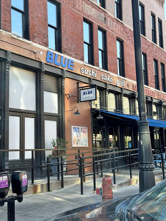 Blue Sushi Sake Grill: Where Omaha meets Tokyo! This urban hotspot is rolling out sushi dreams in the heart of the Midwest.