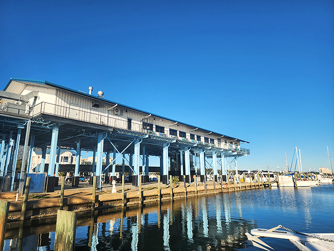 McElroy's Harbor House: Dine with the fishes (not like in The Godfather)! This stilted wonder offers seafood with a side of spectacular views.