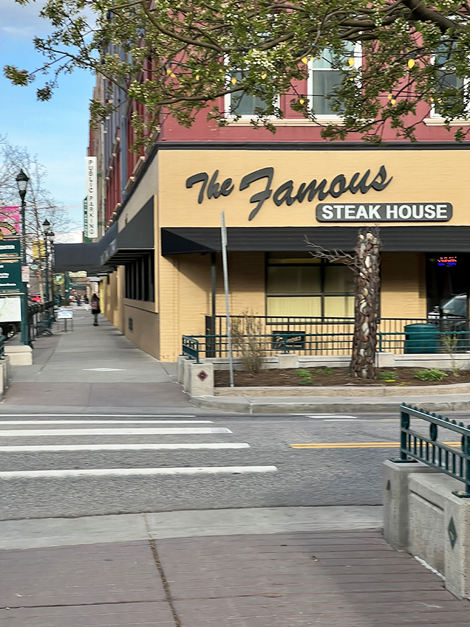 The Famous Steak House: Living up to its name since before Instagram was a thing. Classic vibes, timeless flavors.