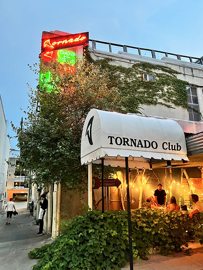 Tornado Steak House: Where retro cool meets meaty perfection. This neon sign is your beacon to beefy bliss in downtown Madison.
